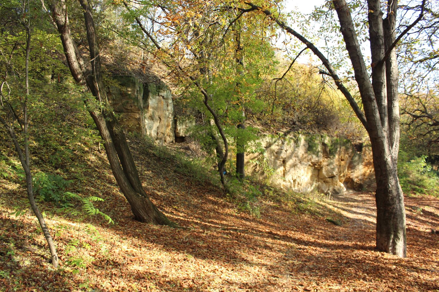 Prosek? To je město i vesnice, bobovka i skály | Články | CityBee